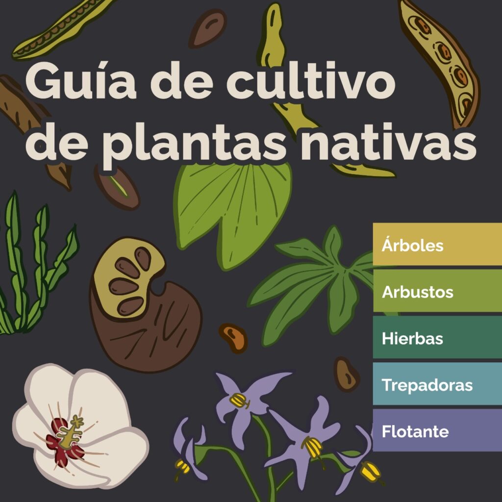 Guía de cultivo de plantas nativas – Red REA
